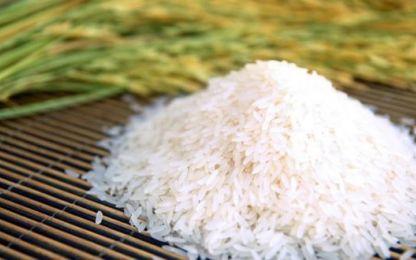 Unusual and rare sights of the Mekong Delta